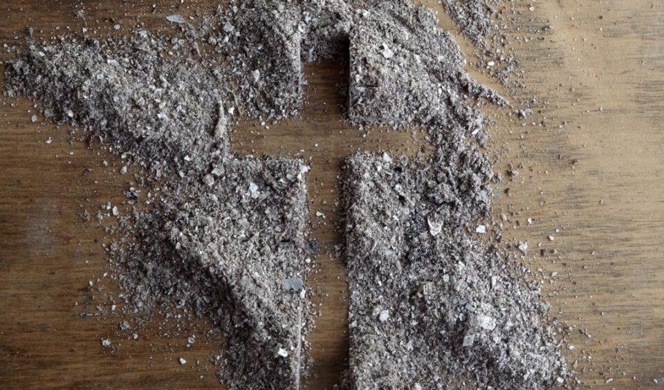 Home - Christ Church Deer Park